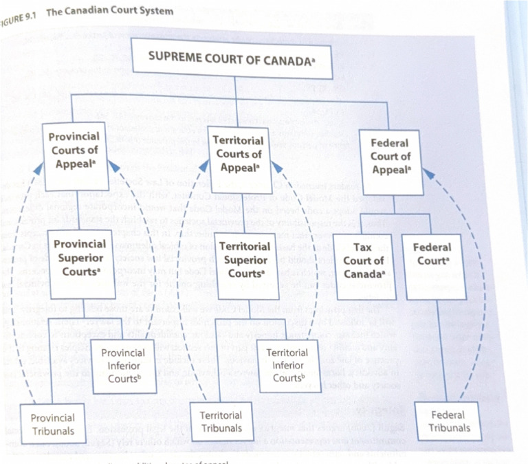 Court System | PDF