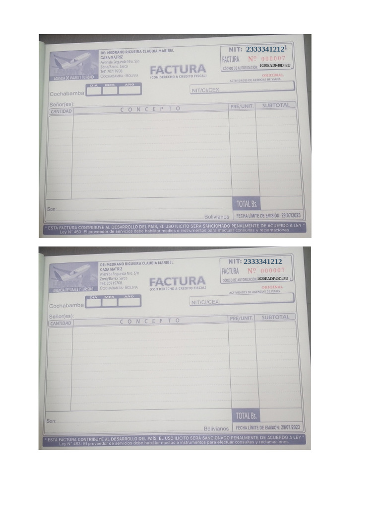 Factura Manual 2 | PDF