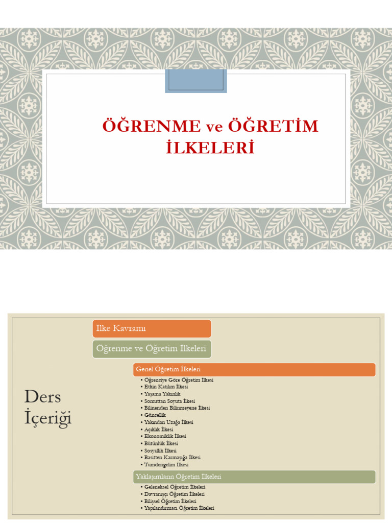 Öğrenme Ve Öğretim İlkeleri | PDF