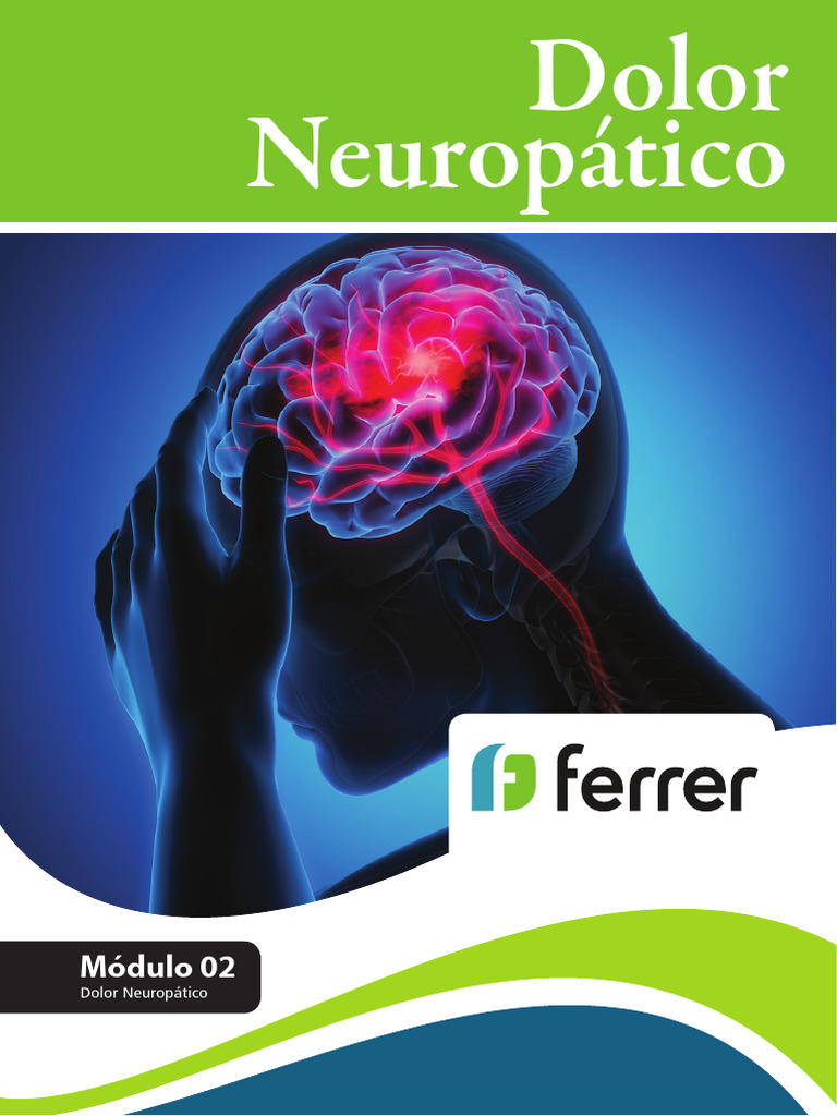 Dolor Neuropático: Conceptos y Tratamientos | PDF | Dolor | Terapia