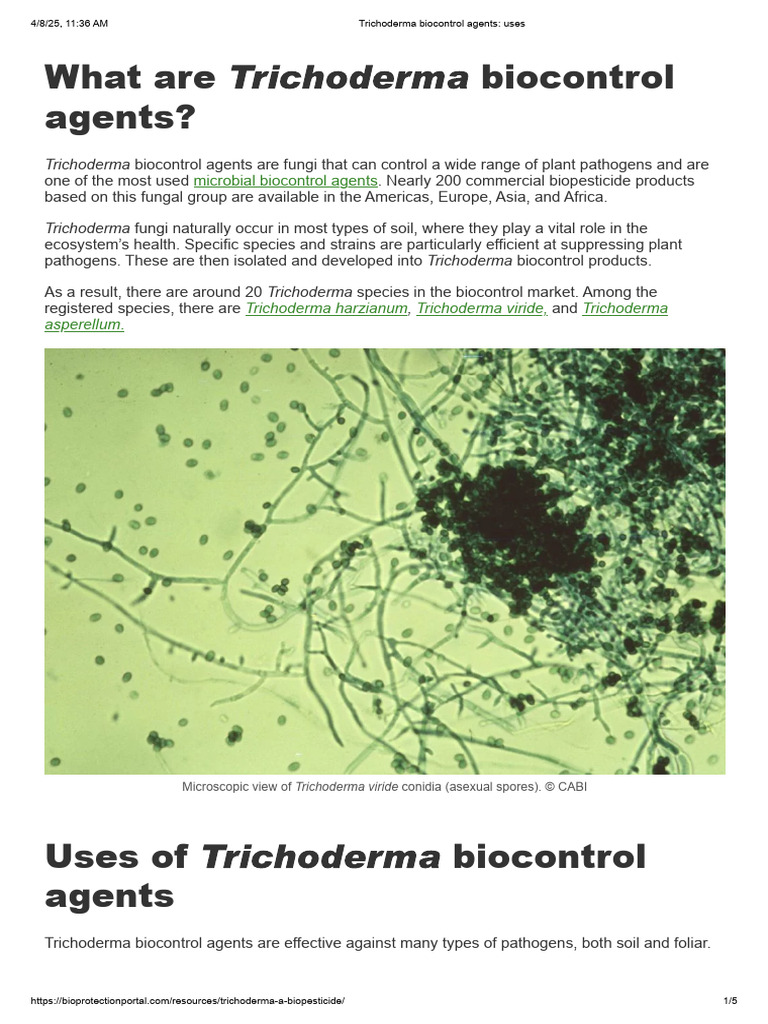 Trichoderma biocontrol agents_ uses | PDF | Fungus | Biological Pest Control