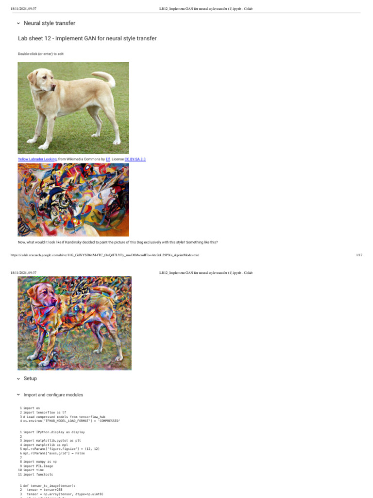 LB12 - Implement GAN For Neural Style Transfer (1) .Ipynb - Colab | PDF | Applied Mathematics ...