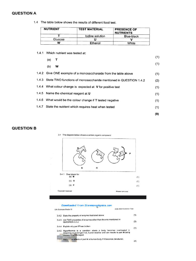 Enzyme Worksheets Grade 10 Life Science | PDF