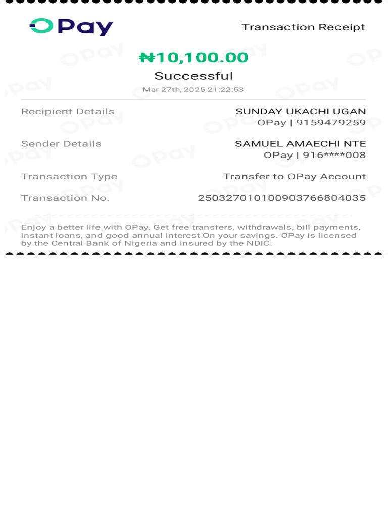 Successful OPay Transaction Receipt | PDF