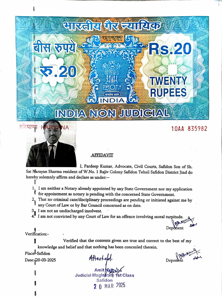 First Class Magistrate Affidavit Form | PDF