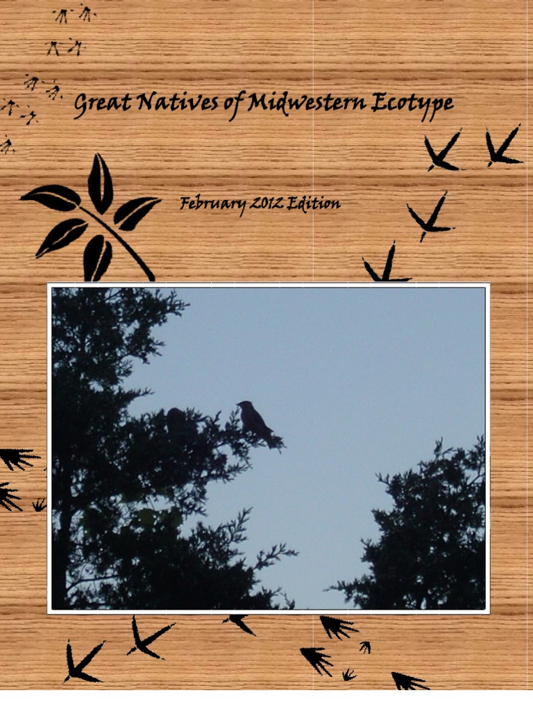 Great Natives of Midwestern Ecotype: February 2012 Edition | PDF ...