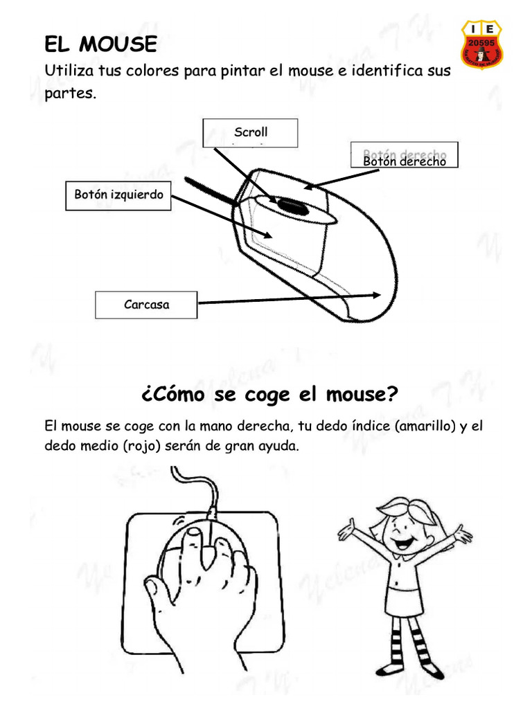 Partes Del Mouse | PDF