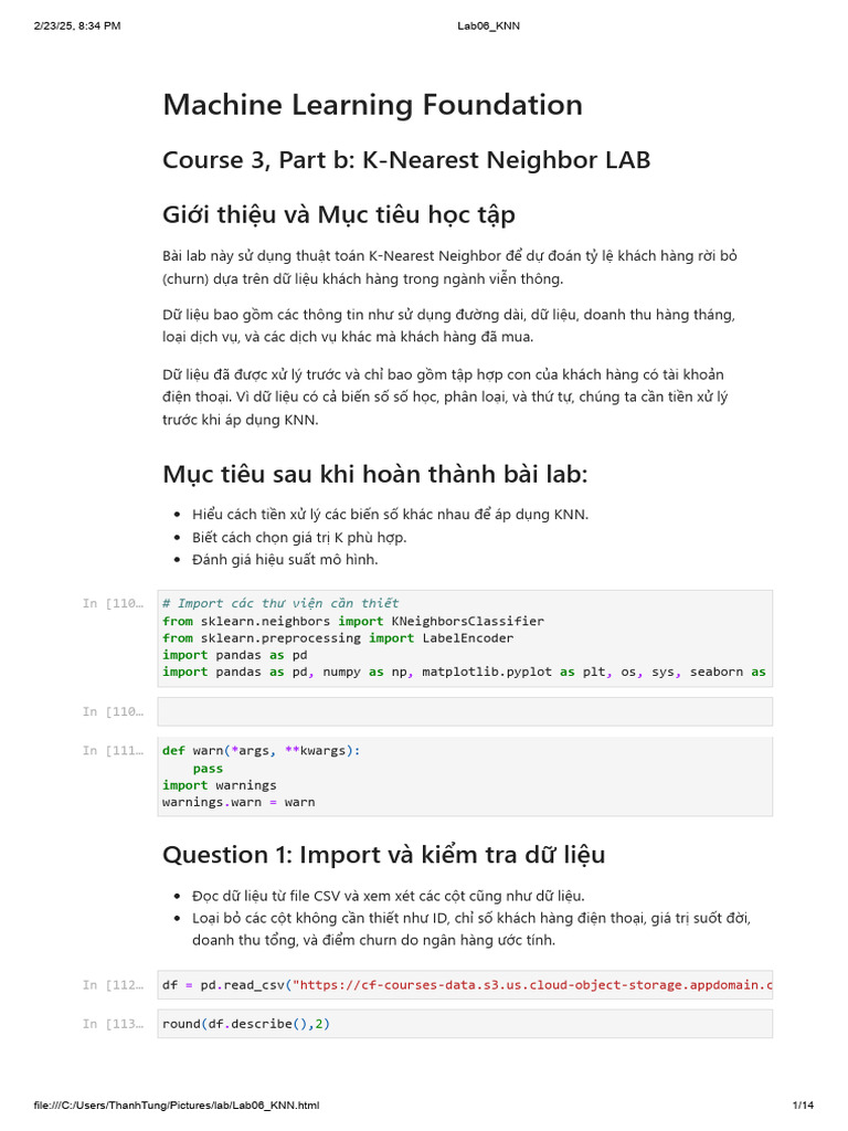 SE192307 NguyenLeAnhQuan Lab06 KNN | PDF