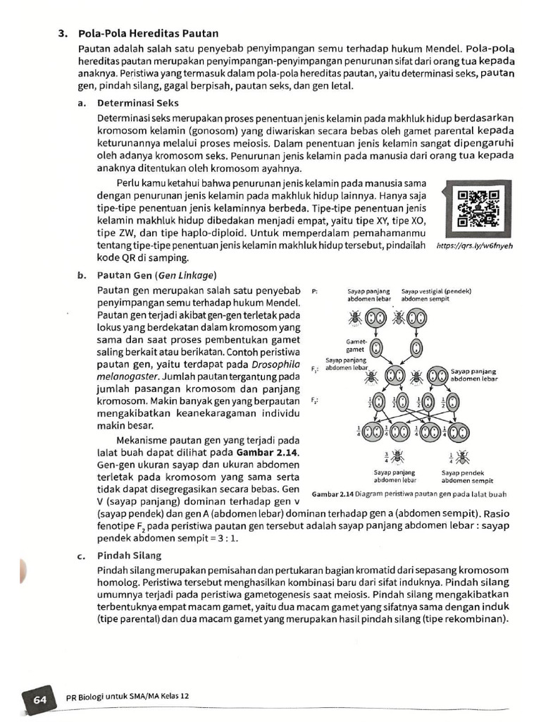 Pola Hereditas Pautan | PDF