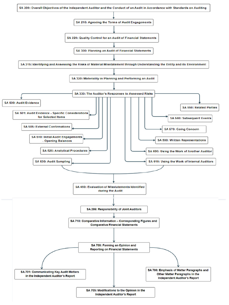 Audit MAP According To SAs | PDF