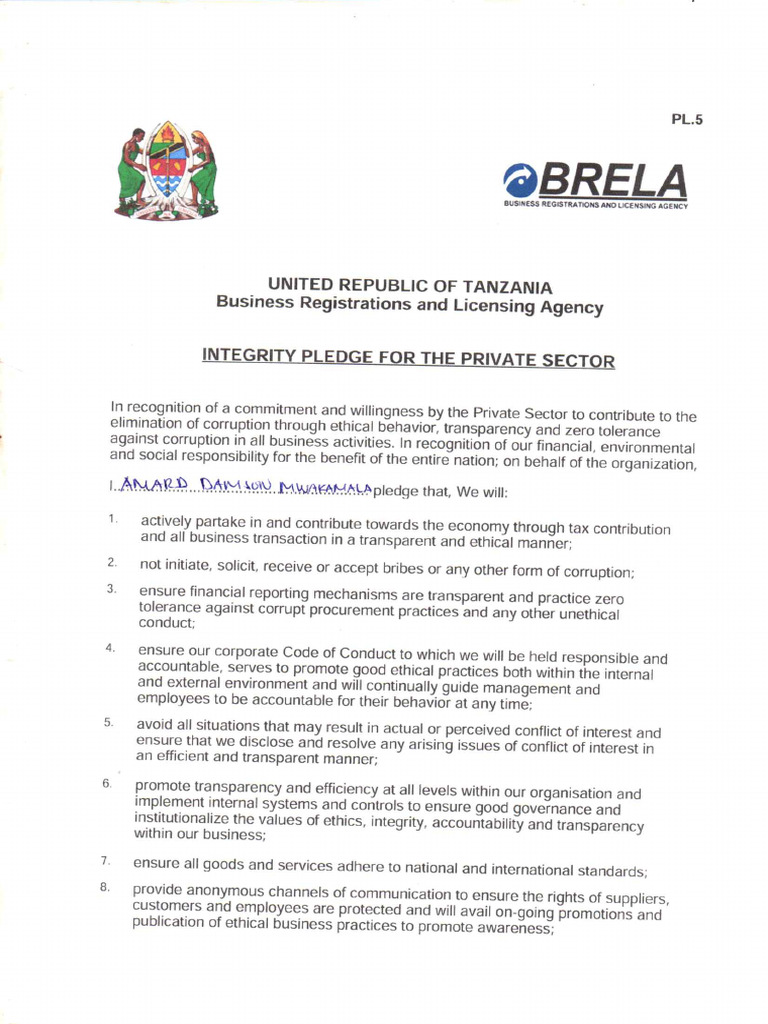 Brela Application | PDF