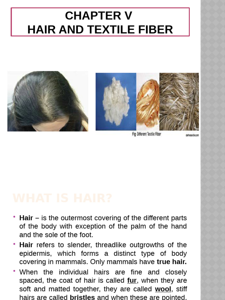 Forensic Chemistry Chapter V Hair Texttile Fiber | PDF | Hair | Yarn