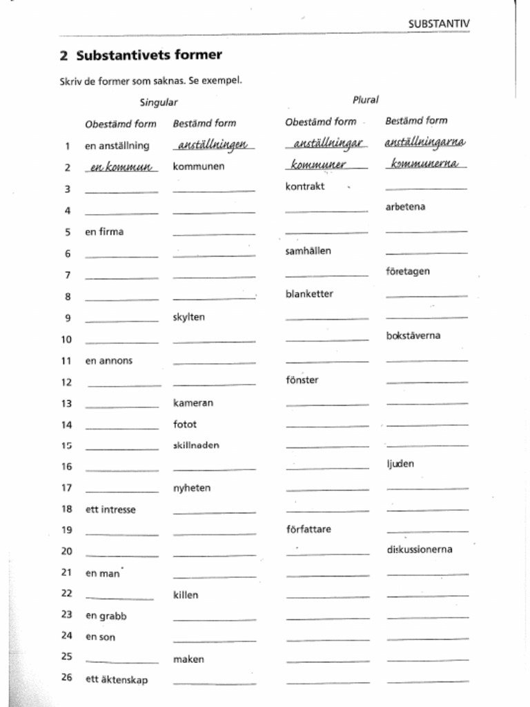 Substantiv Former_klass E4_ FORM I FOKUS 2 | PDF
