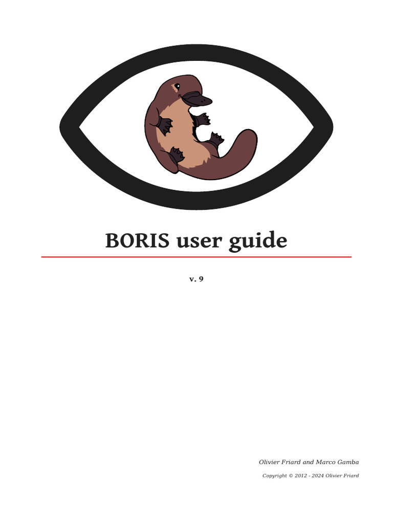 boris_user_guide | PDF | Linux | Mac Os
