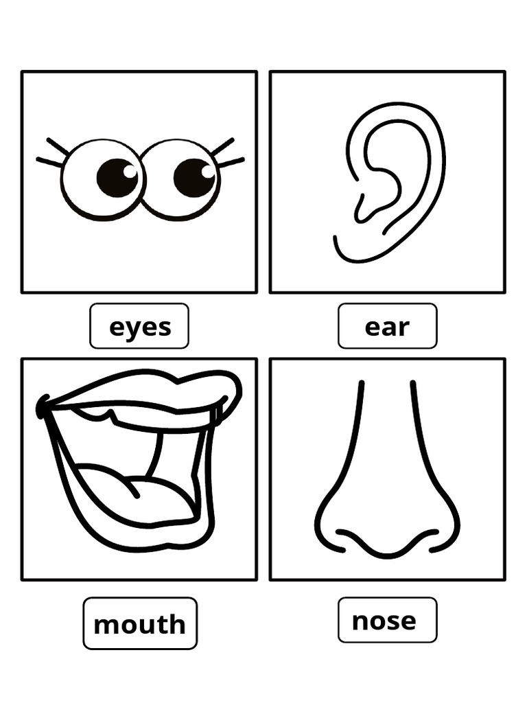 Body Parts Identification Worksheet | PDF