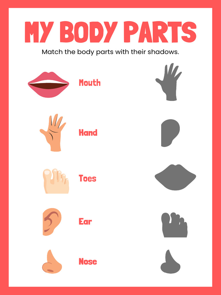 Body Parts Shadow Matching Game | PDF