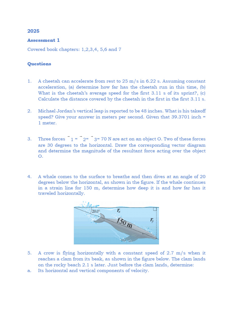 Physics Assessment Questions Overview | PDF | Force | Tension (Physics)