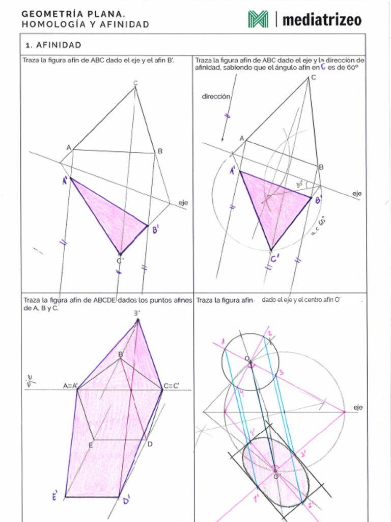 Ej - de Clase - HOMOyAFINIresueltos | PDF