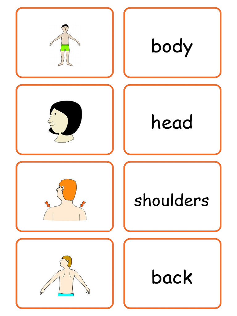 flashcards-body | PDF