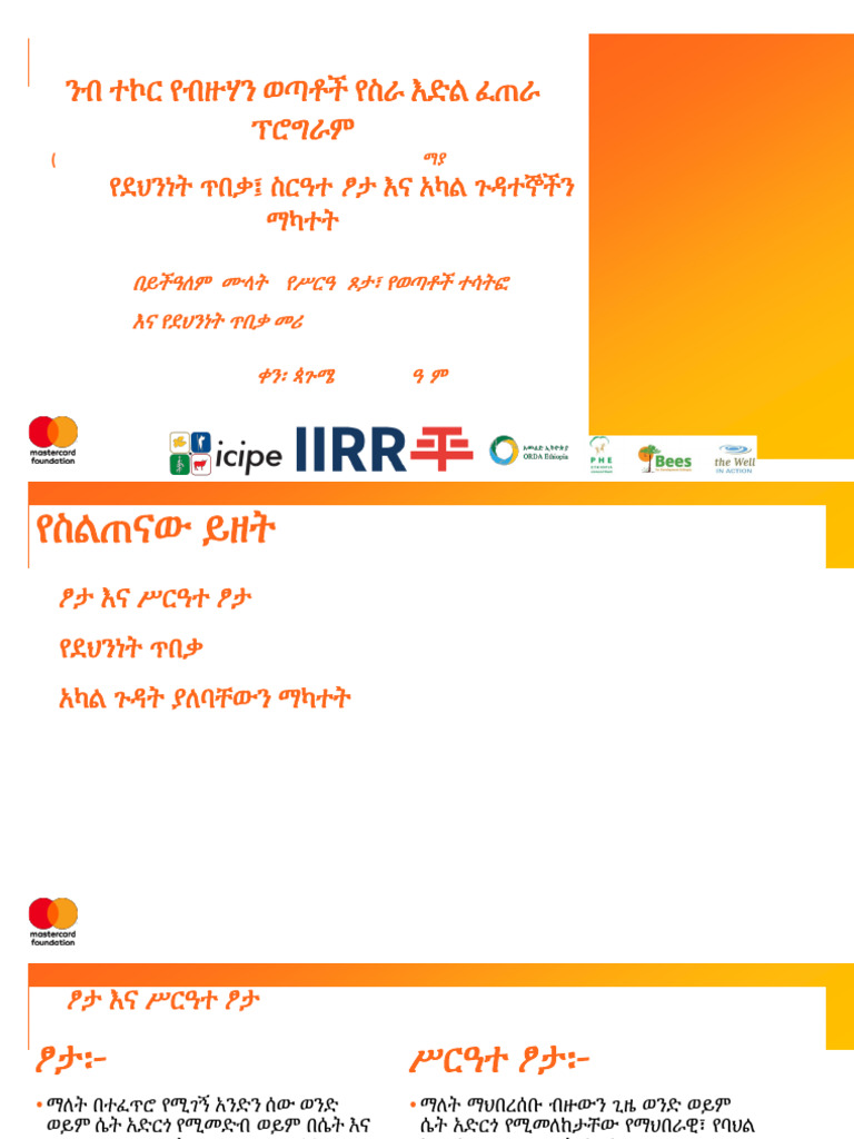 GSDI PPT Amharic-For Program Partcipants | PDF