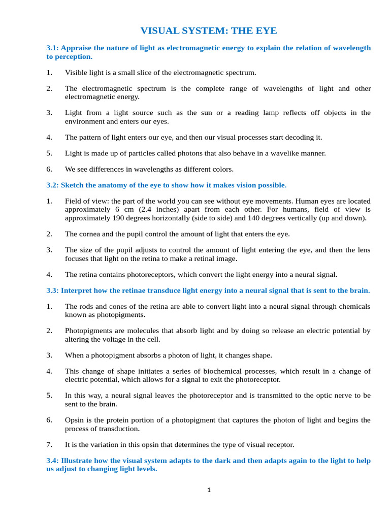 09 Visual System - The Eye and The Brain | PDF | Visual Cortex | Retina