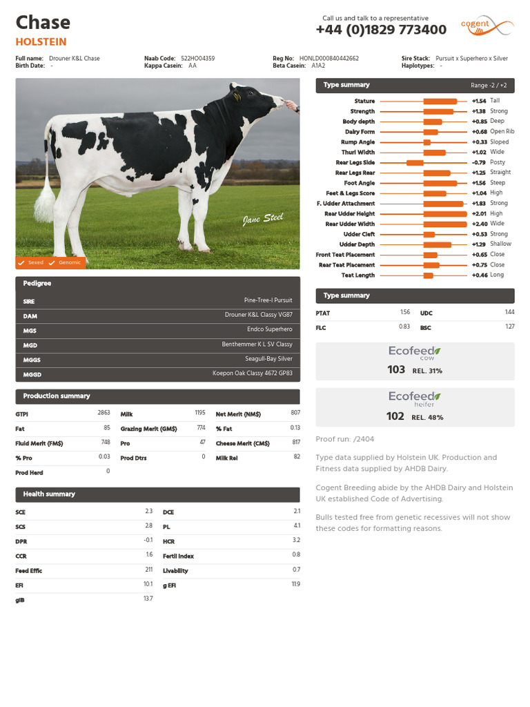 Cogent Chase | PDF | Dairy | Cattle