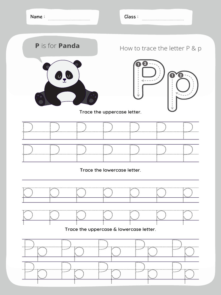 Letter P for Panda Worksheet | PDF
