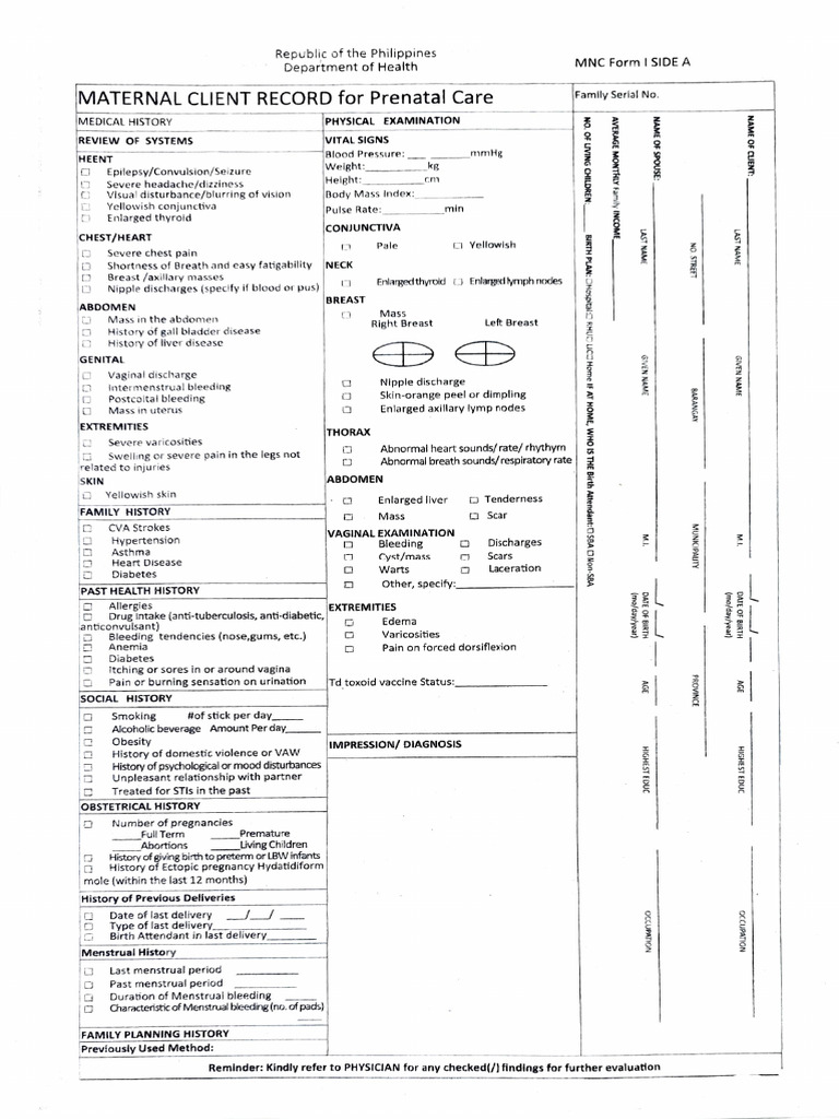 Maternal Client Record For Prenatal Care (DOH) | PDF | Childbirth ...