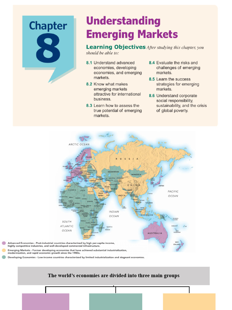 Chapter 8 (Understanding Emerging Markets) | PDF | Bric | Poverty