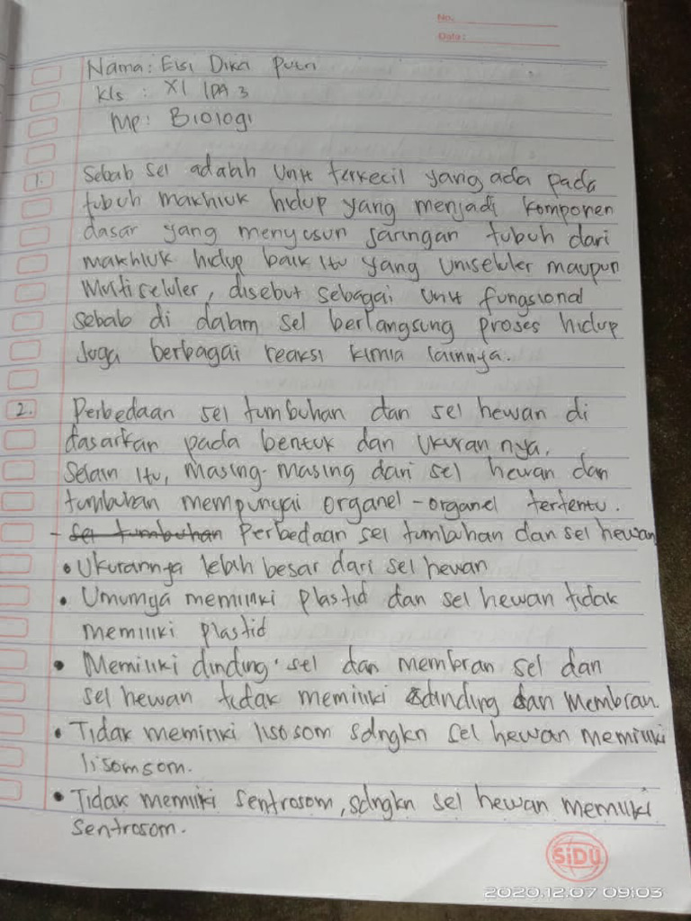 Elsi Dika putri XI IPA3 | PDF