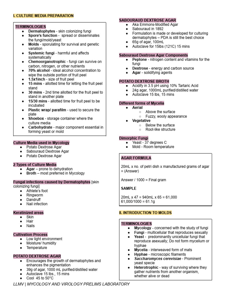 MYCO-LAB-PRELIMS-CONDENSED | PDF | Fungus | Spore