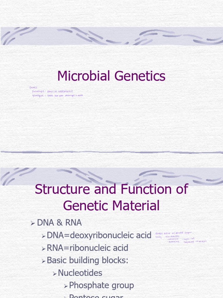 Chapter 4-Microbial Genetics | PDF | Genetic Code | Dna