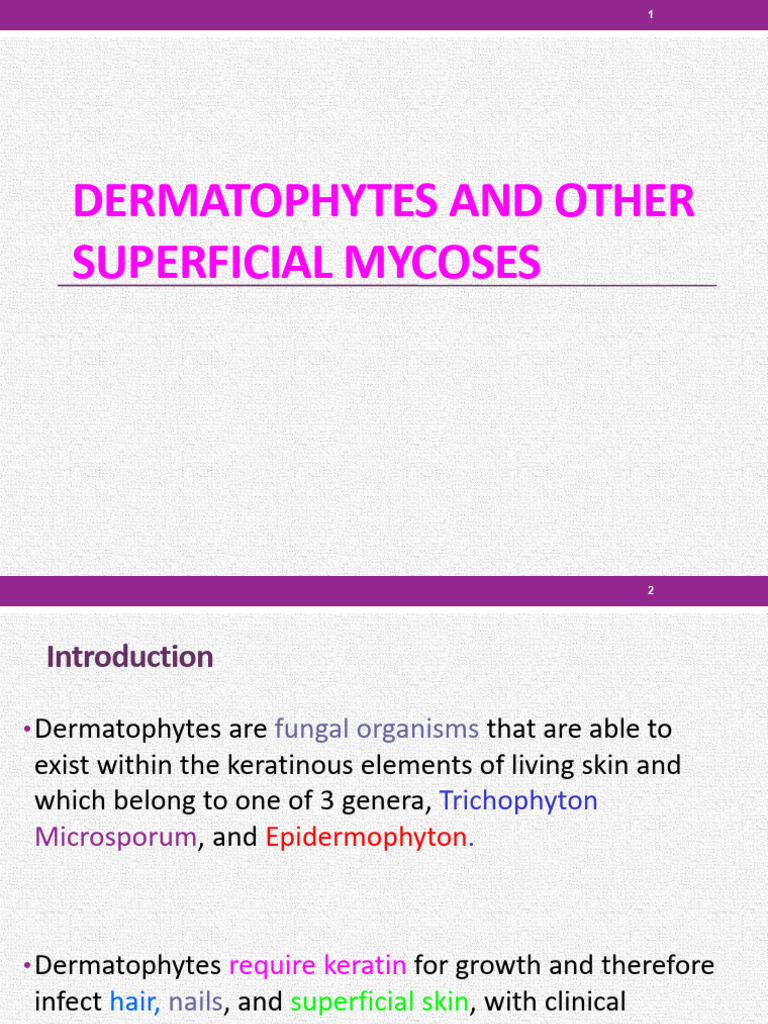 Dermatophytes and other superficial mycoses | PDF | Microbiology | Fungus