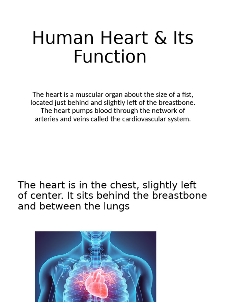 Share Human Heart & I-WPS Office | PDF