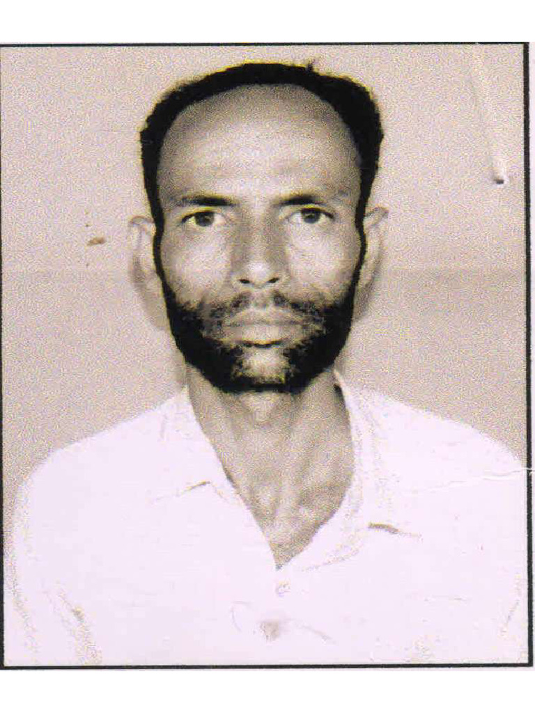 Passport Noshad | PDF