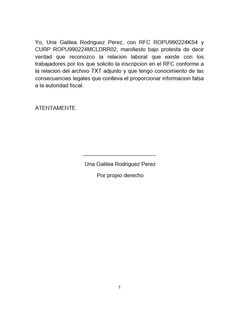 Manifiesto de Decir Verdad | PDF