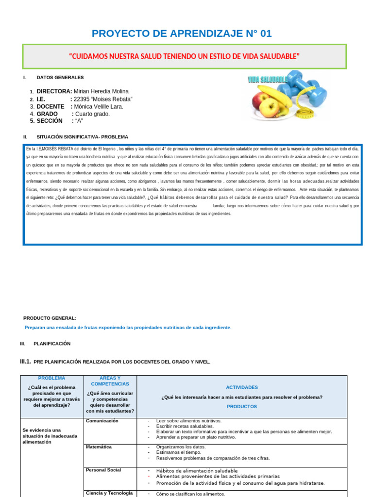 Proyecto de Aprendizaje #1 | PDF | Evaluación | Aprendizaje