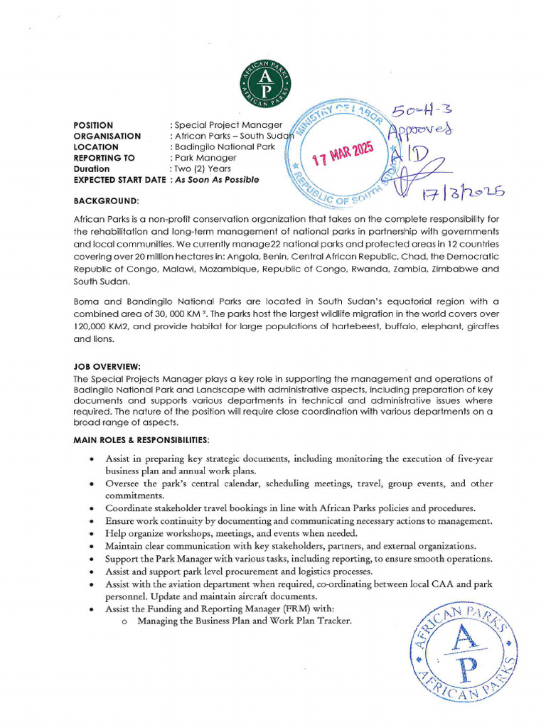 Special Project Manager | PDF