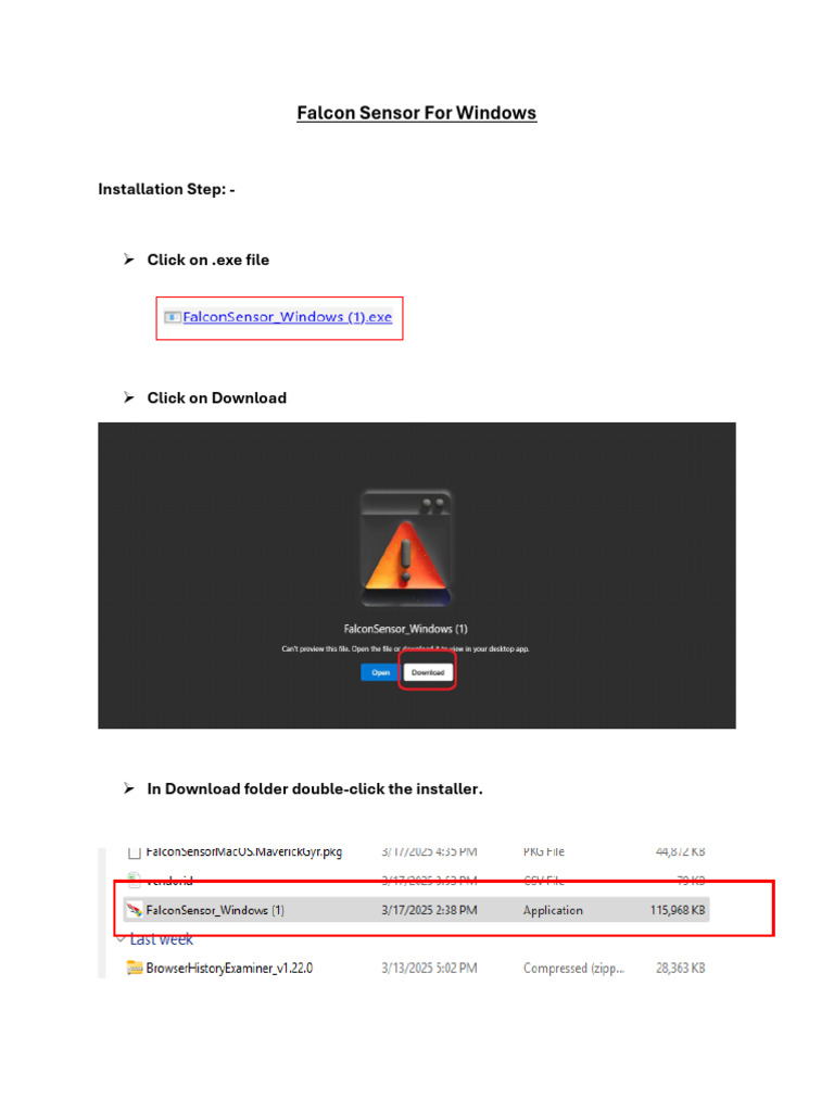 Falcon Sensor For Windows | PDF