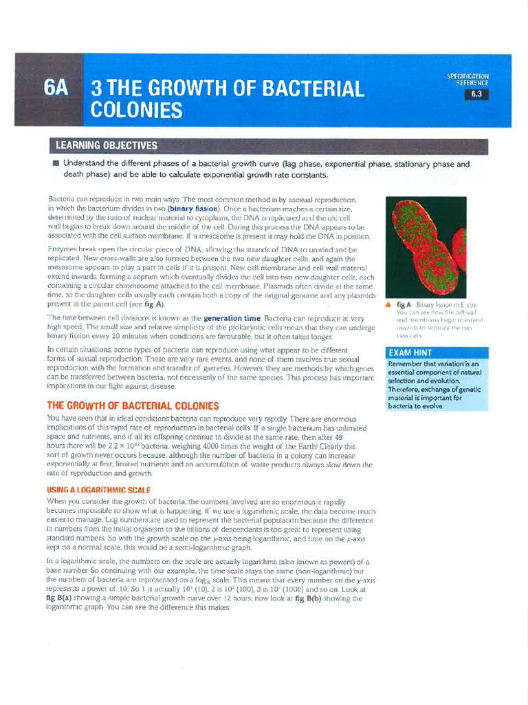 Experiments & Analysis (Unit - 4) | PDF