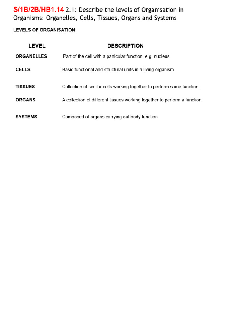 Levels and Functions of Cell Organization | PDF | Stem Cell | Cell ...