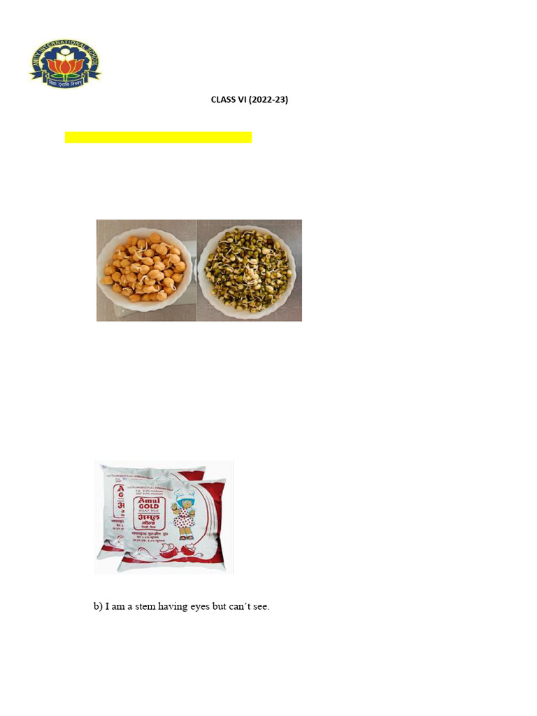 WS - Food Where Does It Comes From - CBQ | PDF | Foods | Flowers