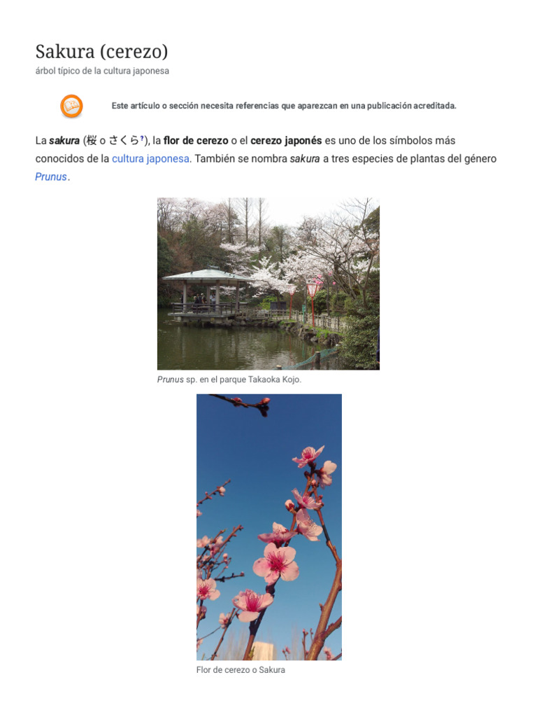 Significado y cultura de la Sakura | PDF | Fruta | Flores