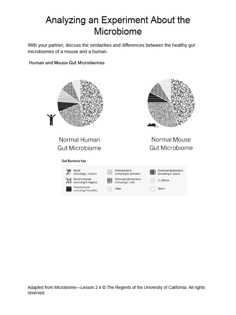 Analyzing An Experiment About The Microbiome | PDF