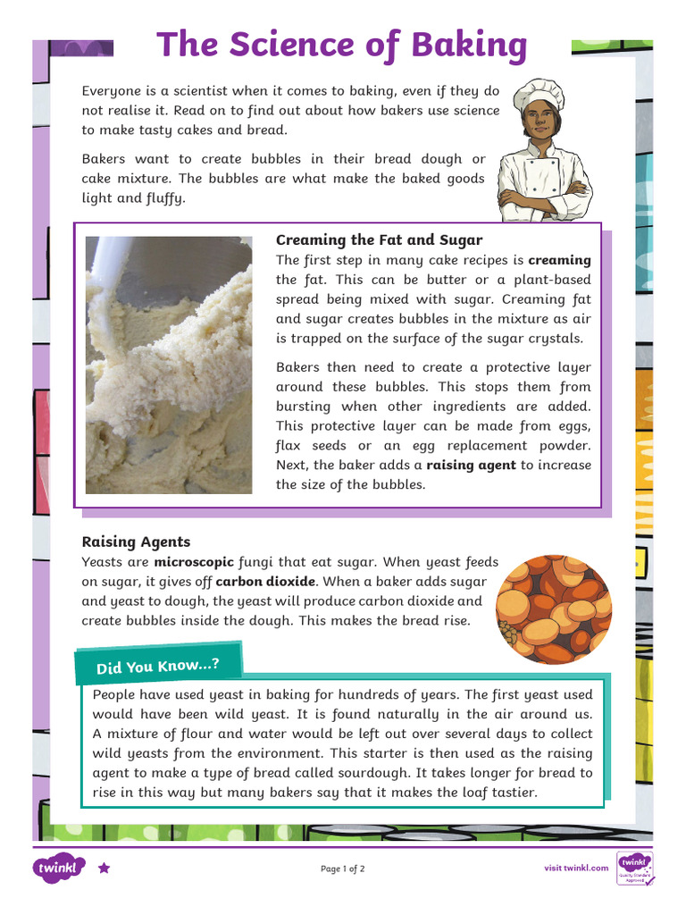 The Science of Baking - ESL | PDF | Breads | Flour