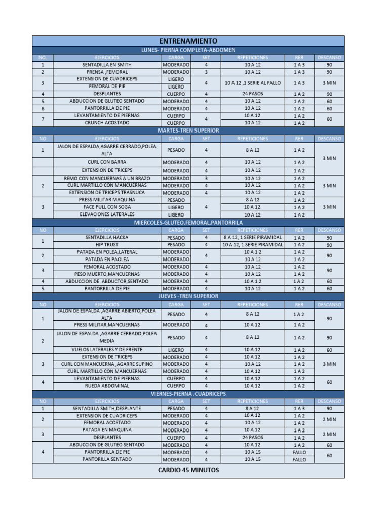 Plan de Entrenamiento NAYELI CHAVEZ | PDF | Entrenamiento con pesas ...