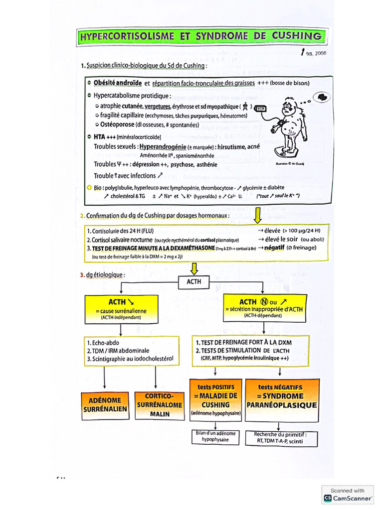 Hypercortisolisme | PDF