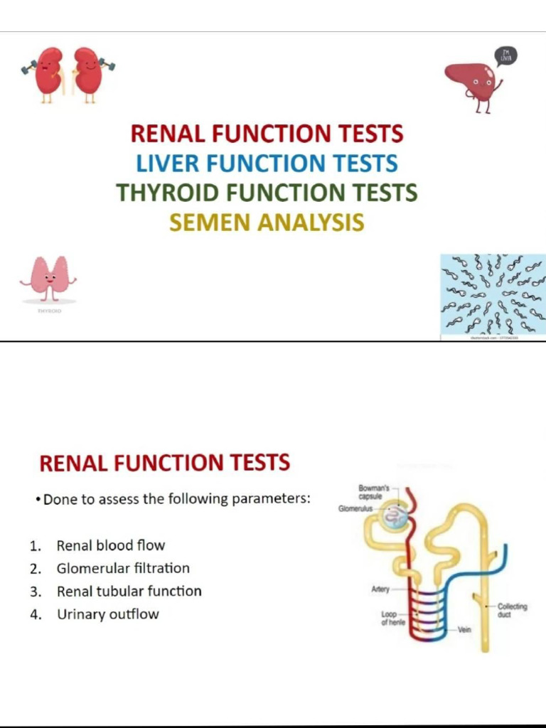 RFT, LFT, TFT, Semen analysis | PDF