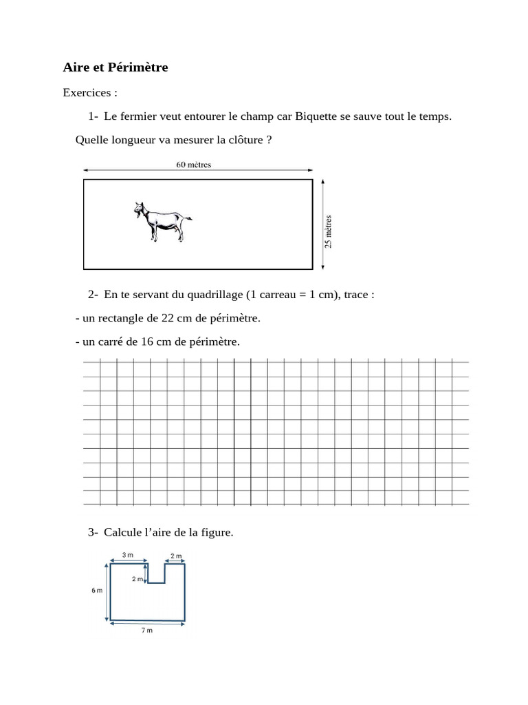 Exercices sur Aire et Périmètre | PDF