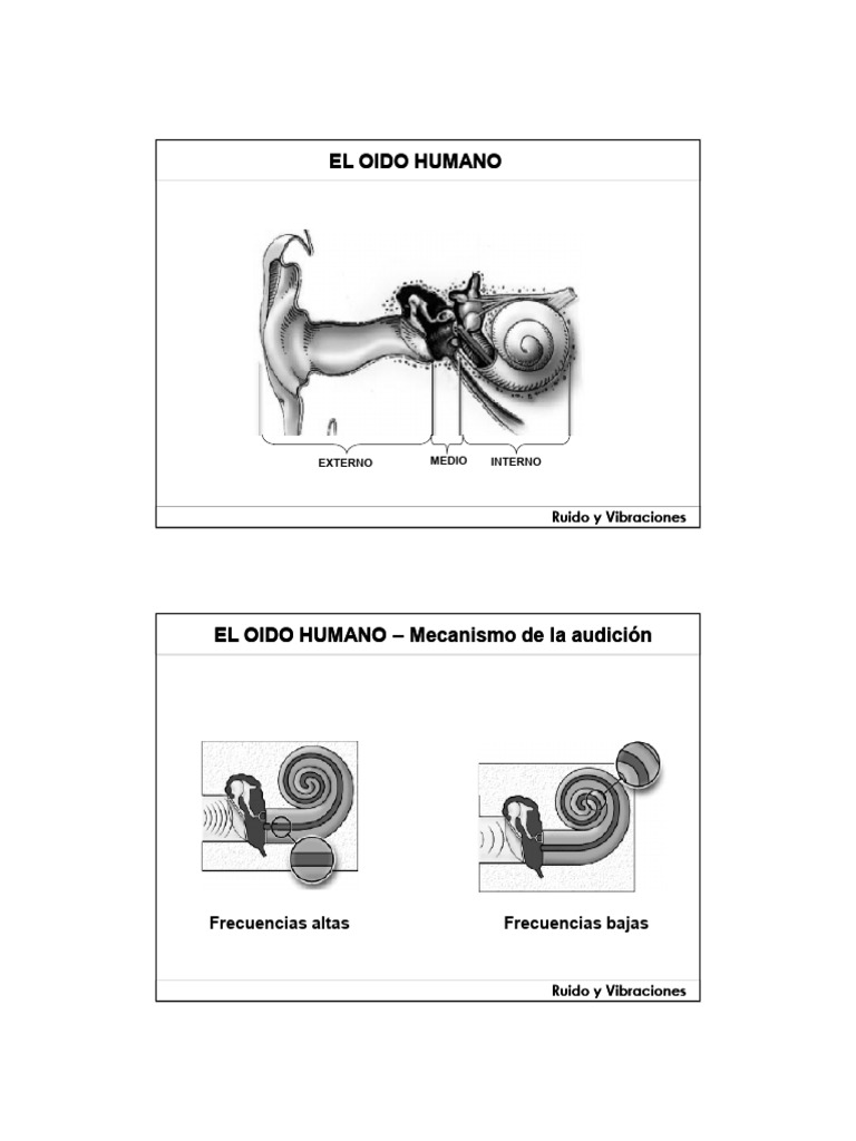 Parte 3 | PDF | ruido | Escuchando